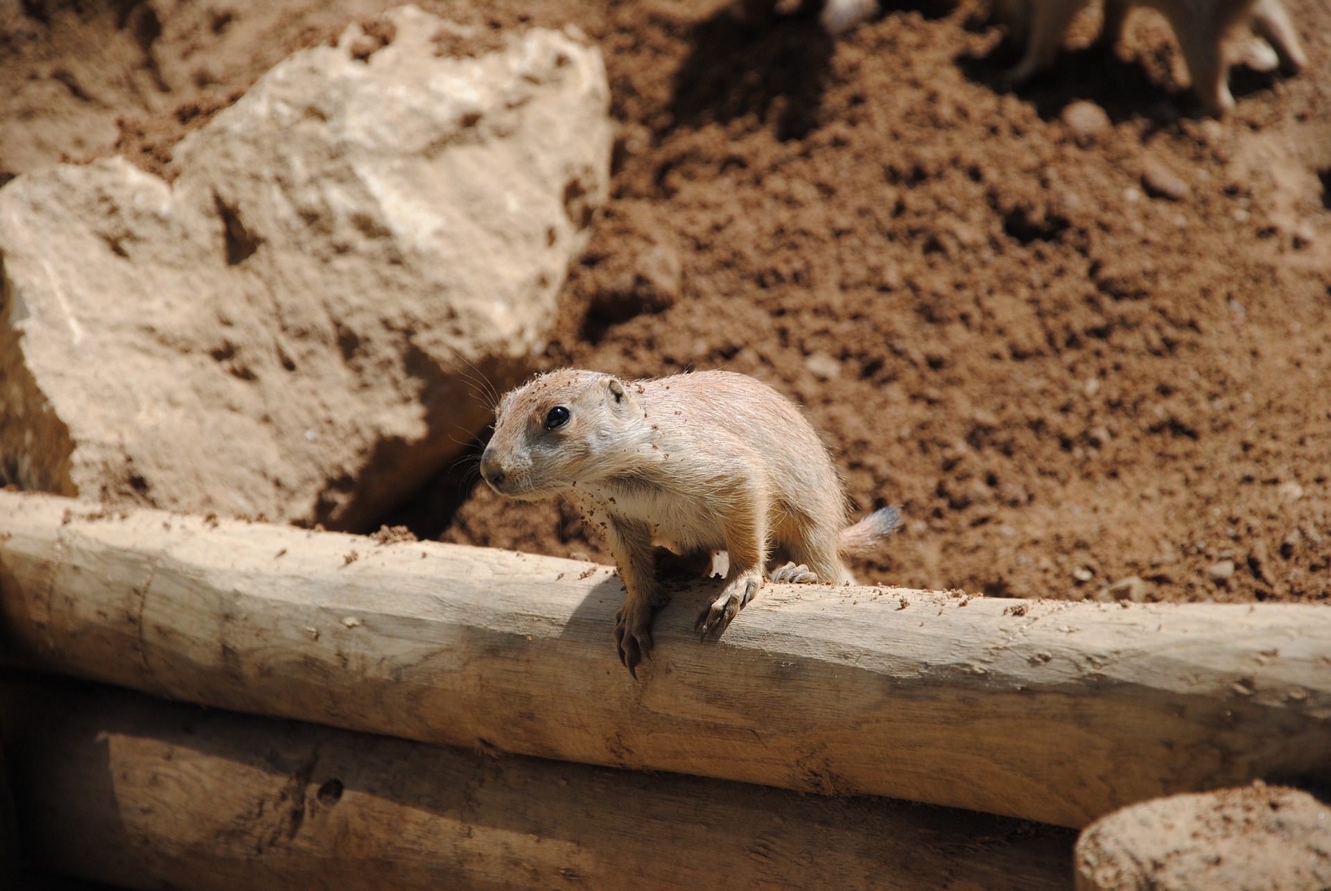 Tip of the Week: Avoid “Lemming Behavior” - Basic Skills